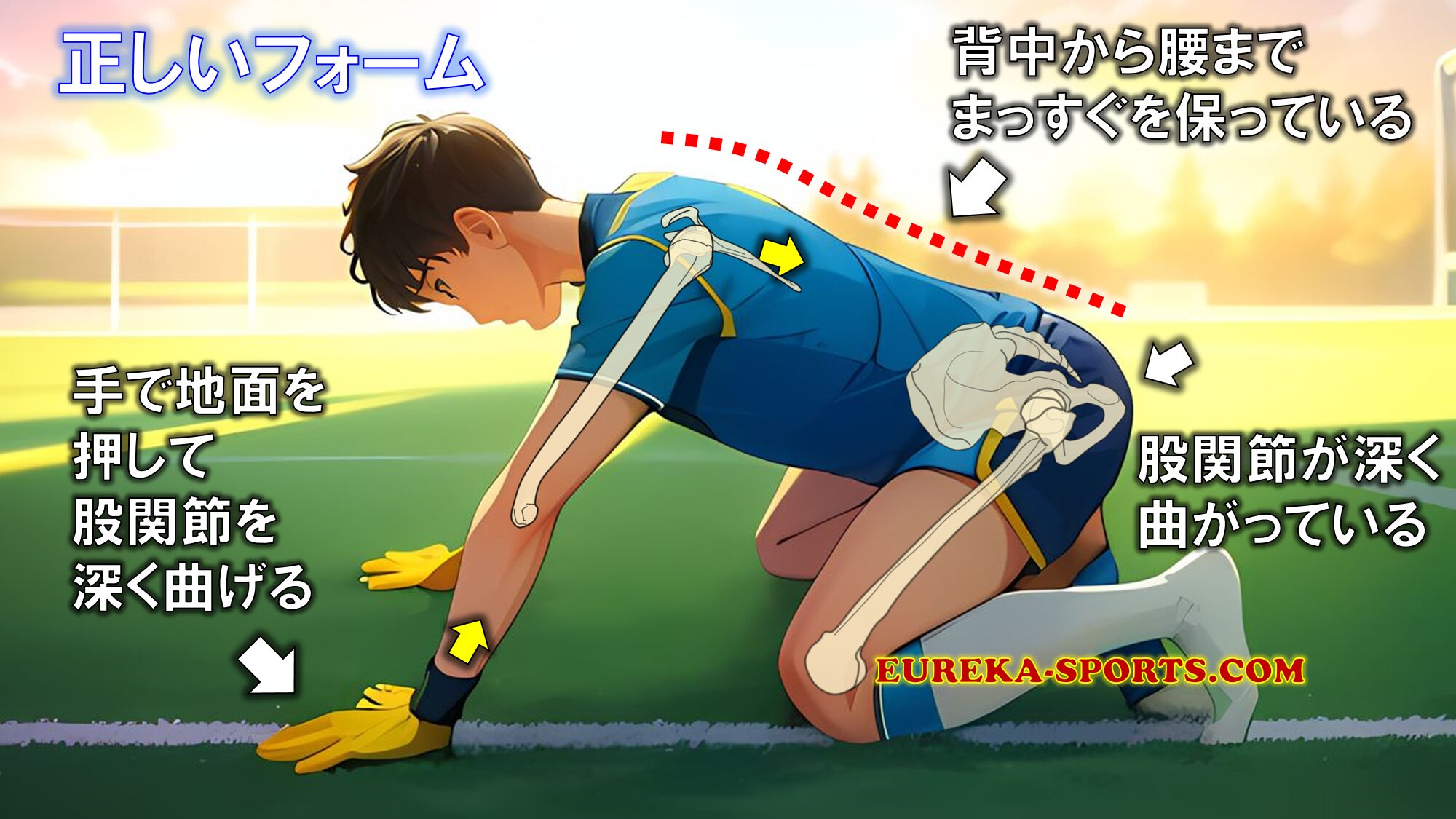 ヒップロッキング｜股関節モビリティと体幹スタビリティのコンビネーション | ユリーカスポーツ