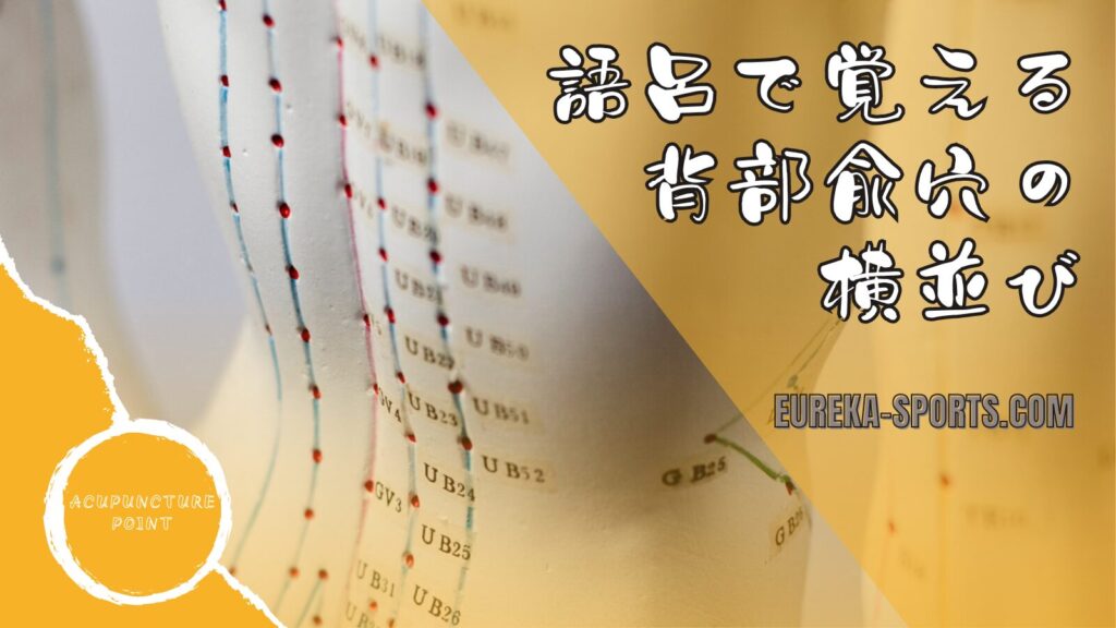 MMTって何？リコンディショニング、リハビリテーションの基礎、徒手筋力検査法について解説 | ユリーカスポーツ